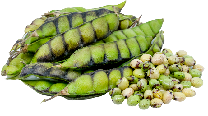 Freshness Delivered: Unveiling the Story of Our Farm – fresh fruits ...